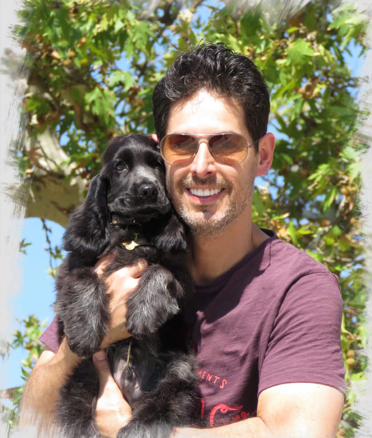 Αγγλικός Κόκερ Σπάνιελ: Ο αγαπησιάρης σκύλος που σε κυριεύει με το ...