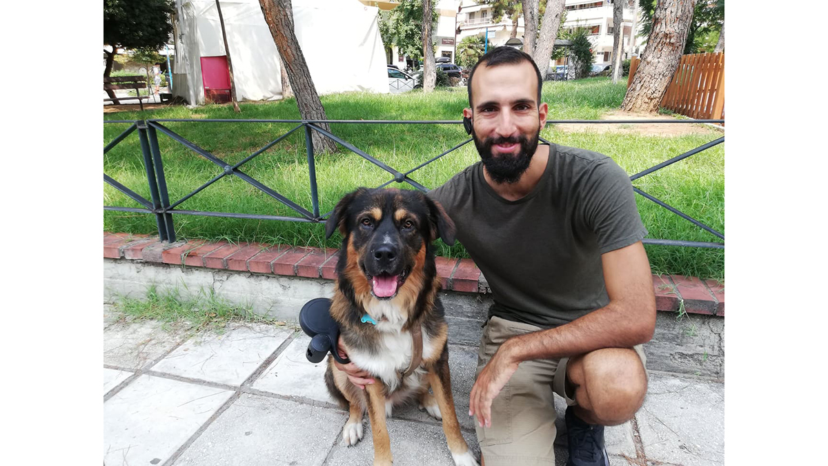 Πόσο αλήθεια είναι ότι ο σκύλος μοιάζει με τον λύκο; Η απάντηση θα σας ...