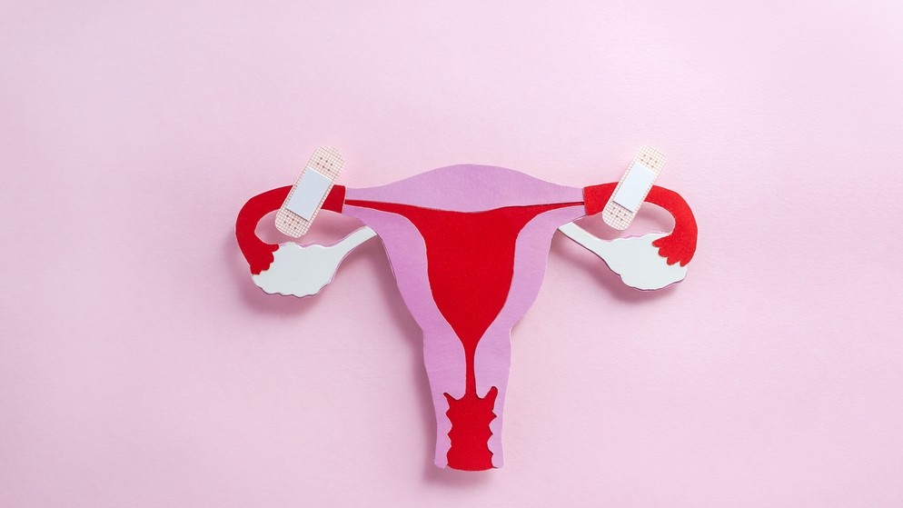 Γυναικολογικές παθήσεις: Οι ελάχιστα επεμβατικές μέθοδοι που δίνουν ...