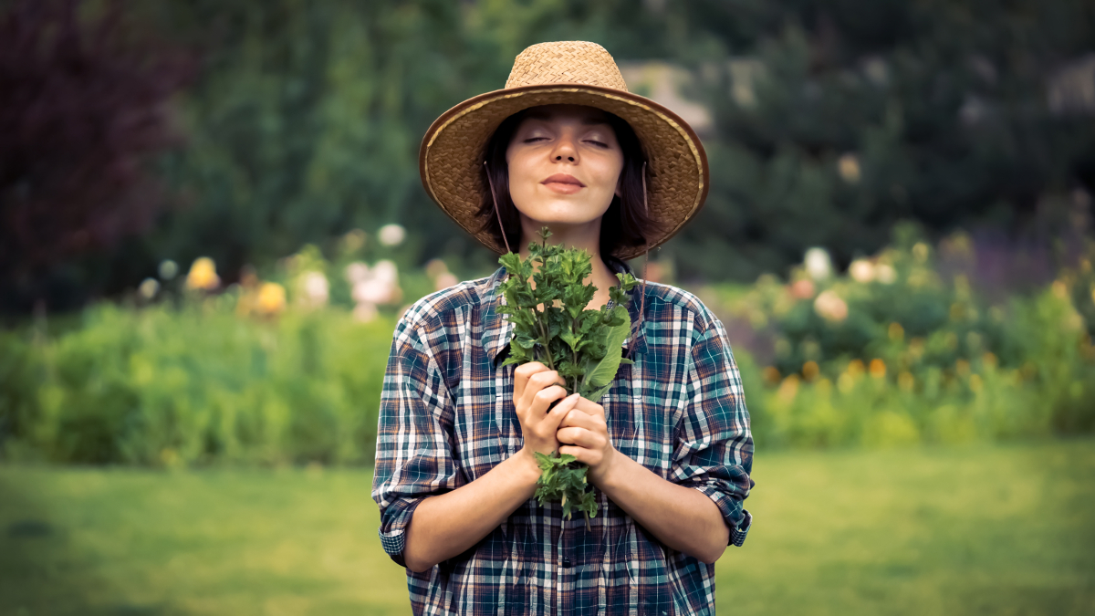 Άνοια: Το δροσιστικό άρωμα που προστατεύει τη μνήμη - Από ποιο γνωστό ...